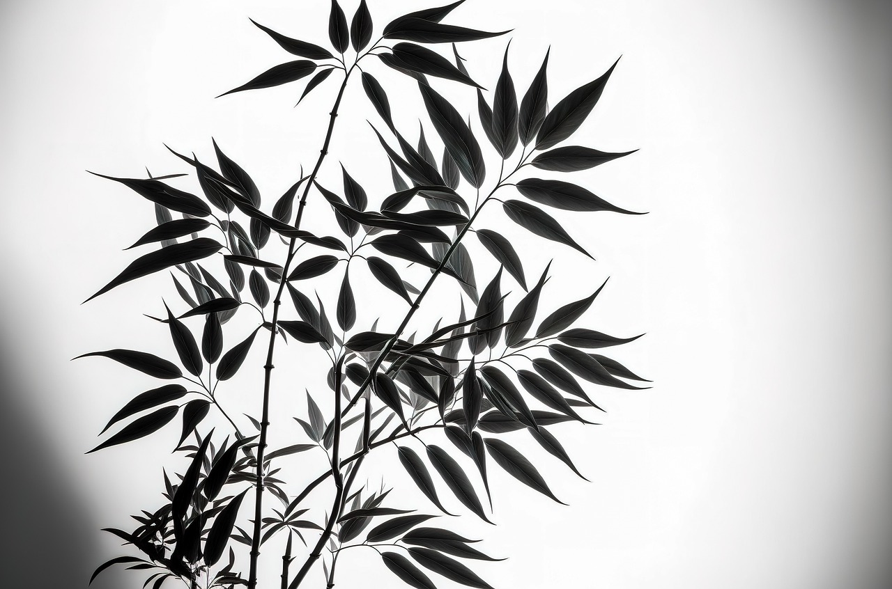 El cuidado del bambú: consejos para mantener tu planta sana y hermosa ...